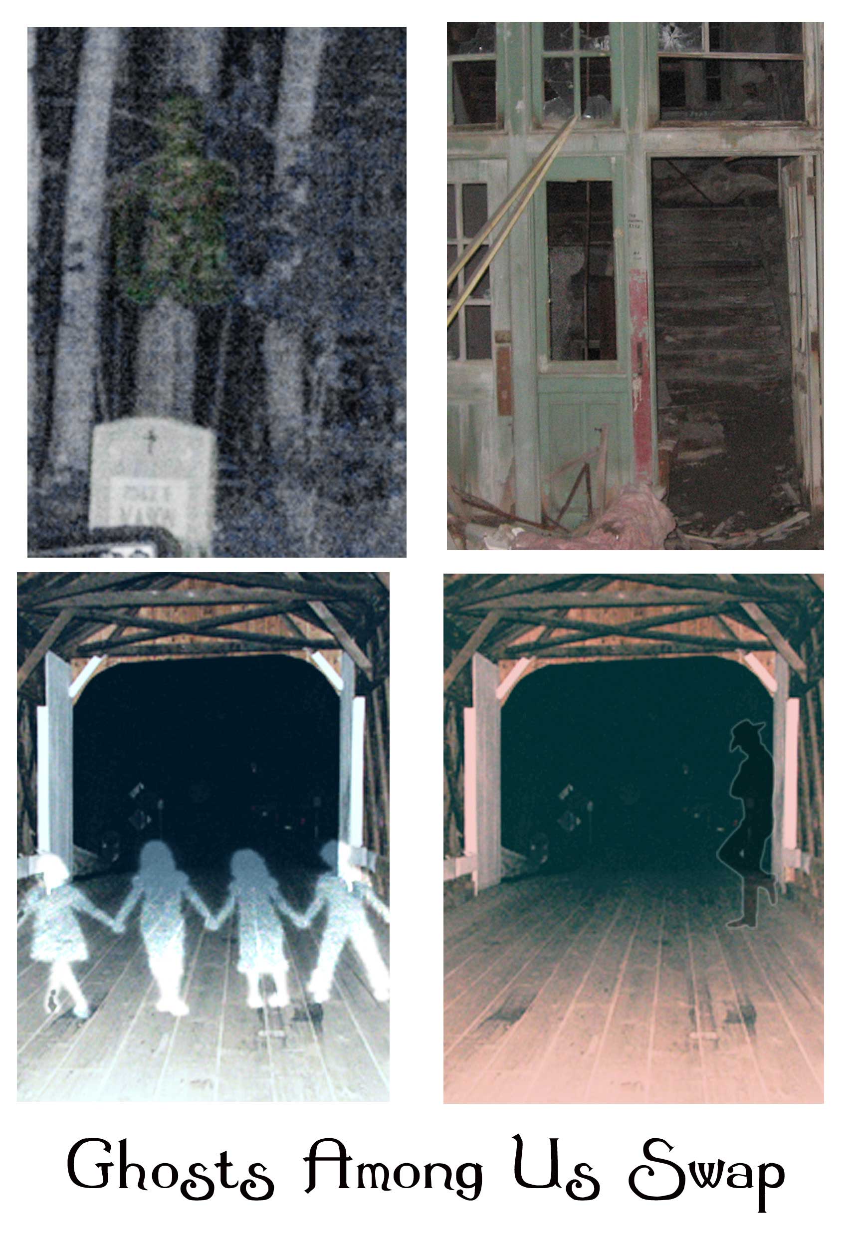 Ghosts Among Us swap | ATCsforALL Forums